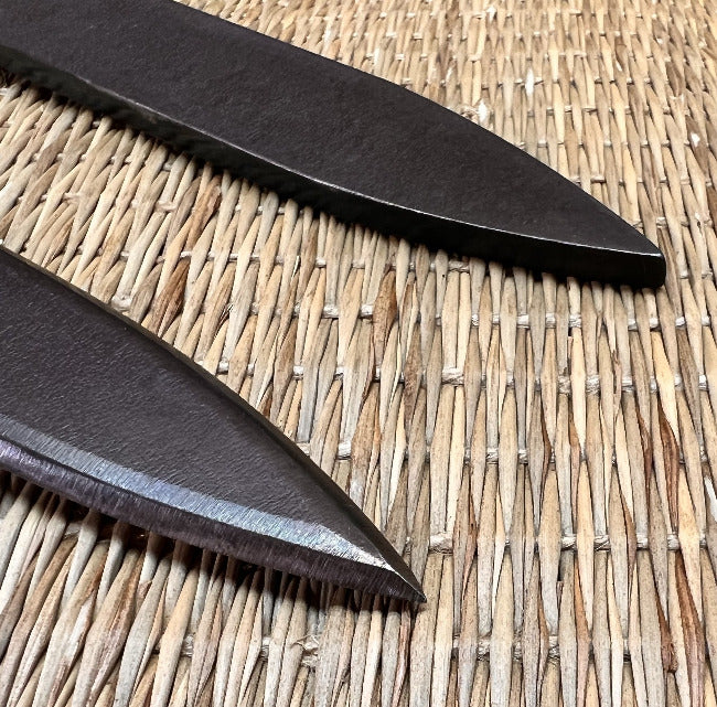 KYOKETSU SHOGE 3 TRAINING – The Samurai Connection